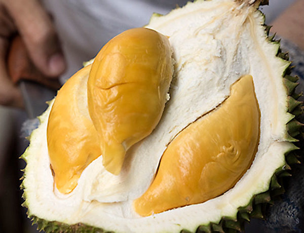 13 Jenis Durian Paling Terkenal Dan Sedap. Rugi Kalau Tak Cuba ...