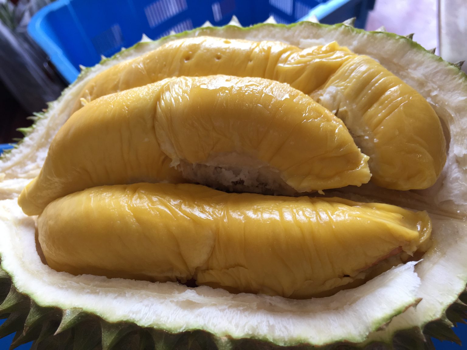 13 Jenis Durian Paling Terkenal Dan Sedap. Rugi Kalau Tak Cuba ...